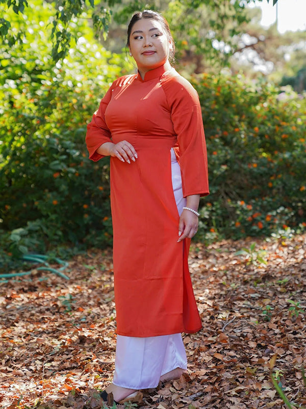 Elegant Vietnamese Ao Dai: Timeless, graceful, and stylish. – aodaistyle